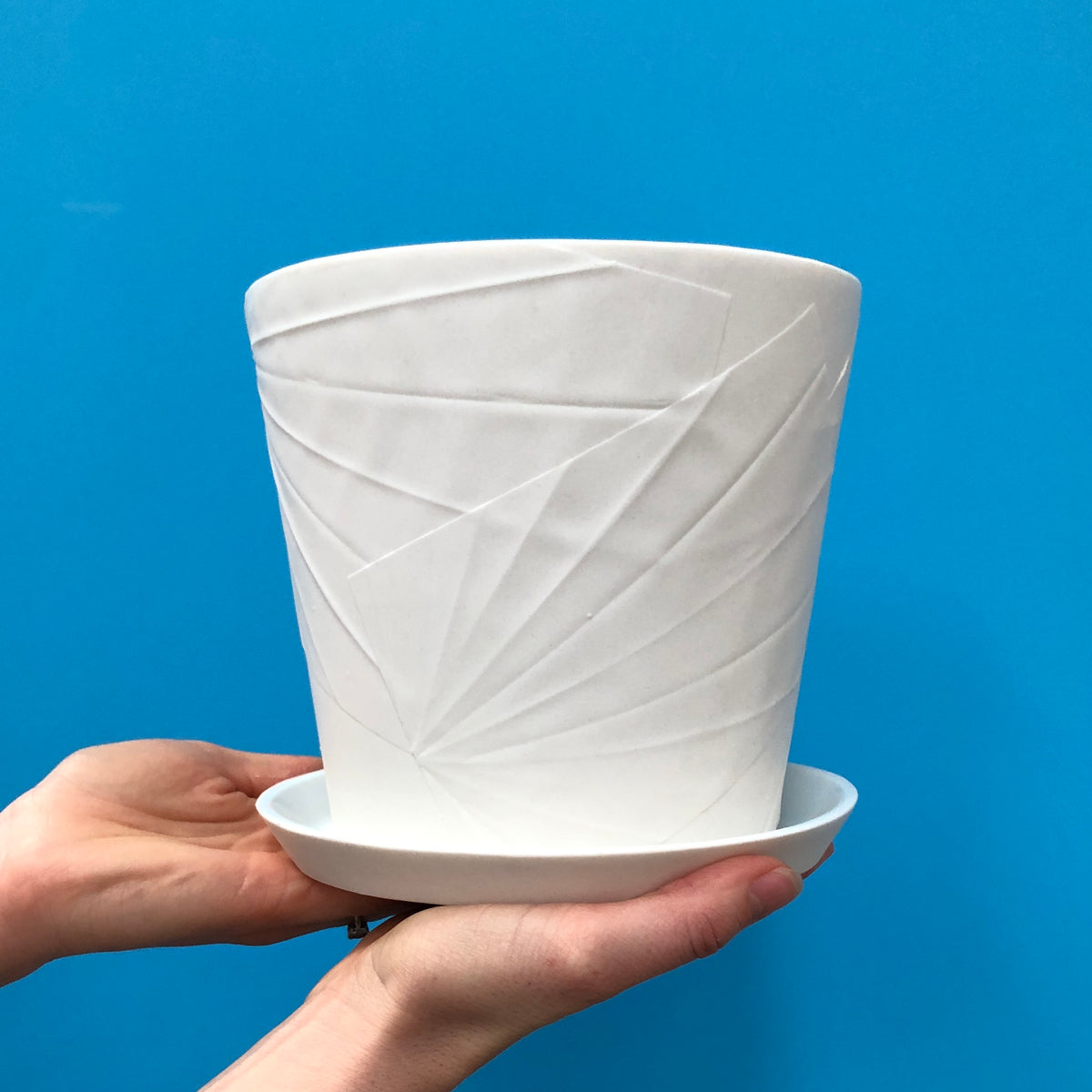 Paper Plane Planter - Large – | Hayden Youlley